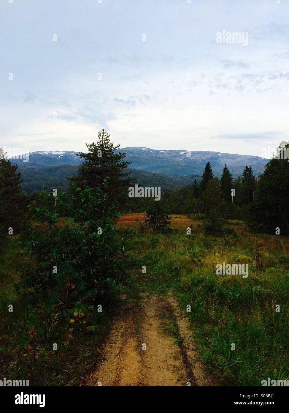 Kvamskogen hi-res stock photography and images - Alamy