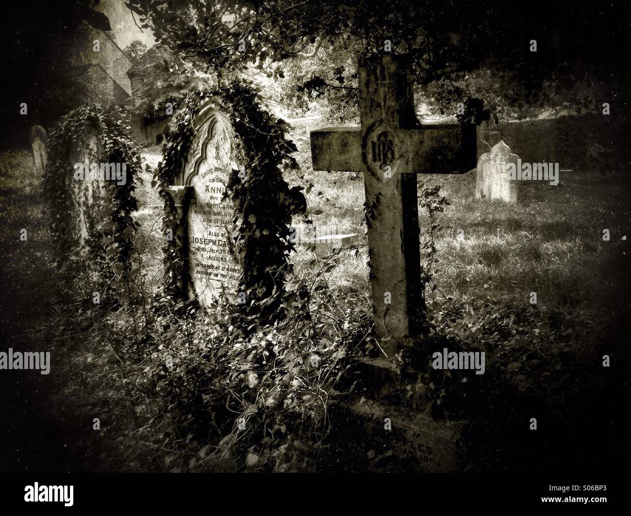 Death mortality grave hi-res stock photography and images - Alamy