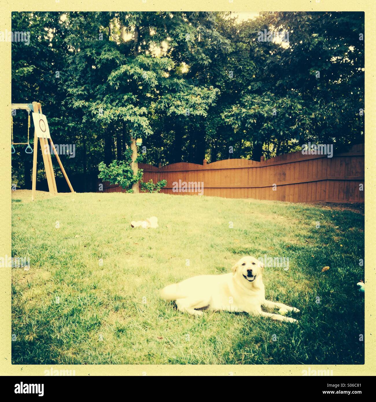 Backyard house hi-res stock photography and images - Alamy