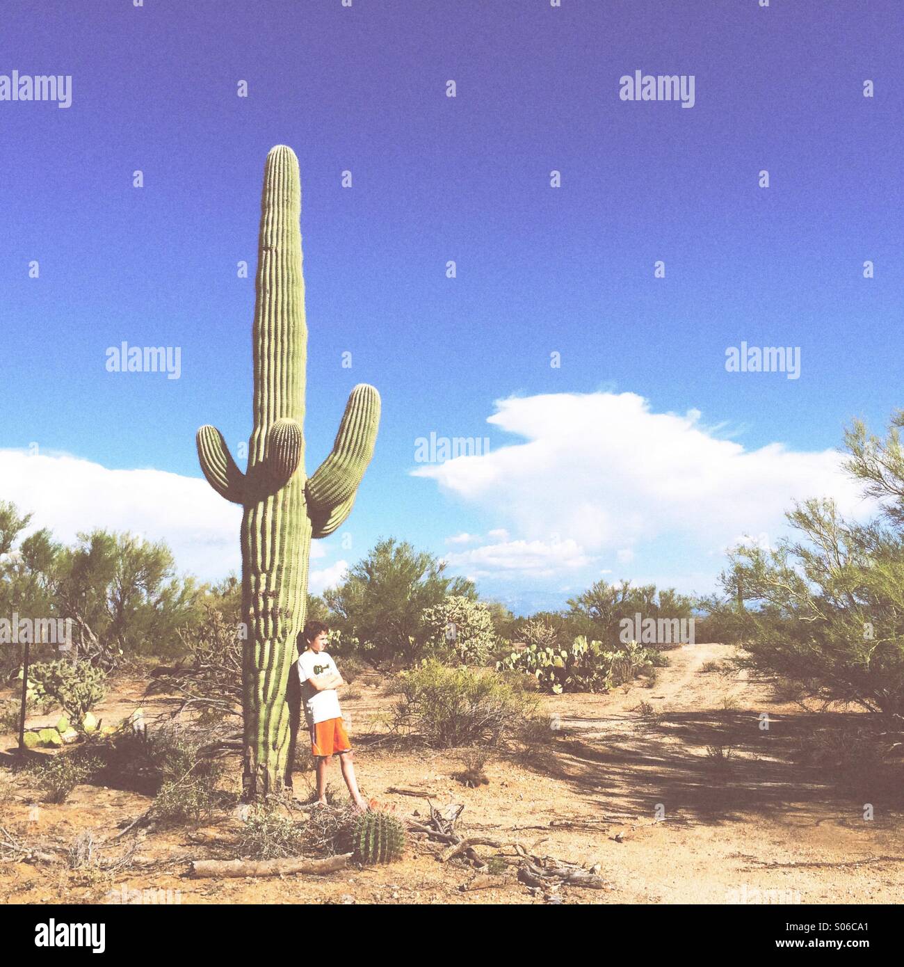 boy and cactus Stock Photo - Alamy