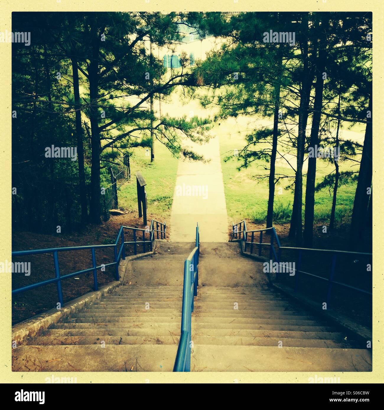 Trees long stairs hi-res stock photography and images - Alamy