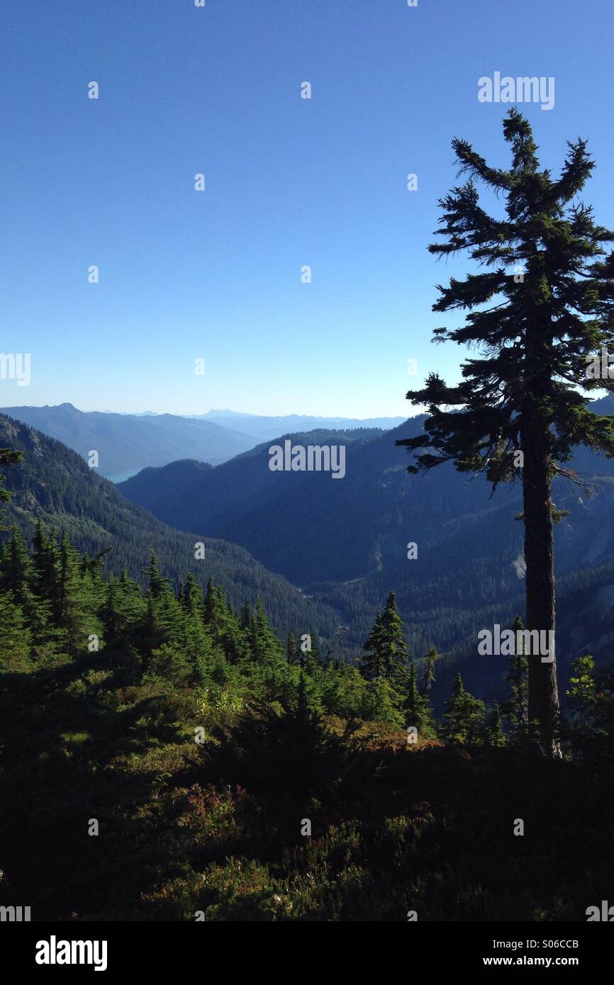 Artist point mt. Baker wa Stock Photo - Alamy