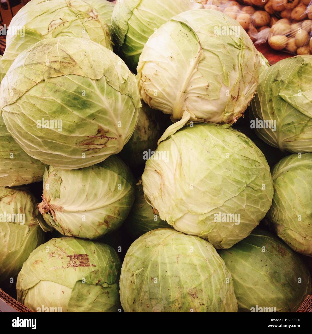 Cabbage ingredients hi-res stock photography and images - Alamy