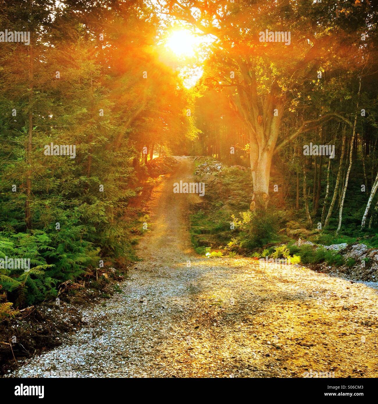 Beautiful September Sunset Stock Photo - Alamy