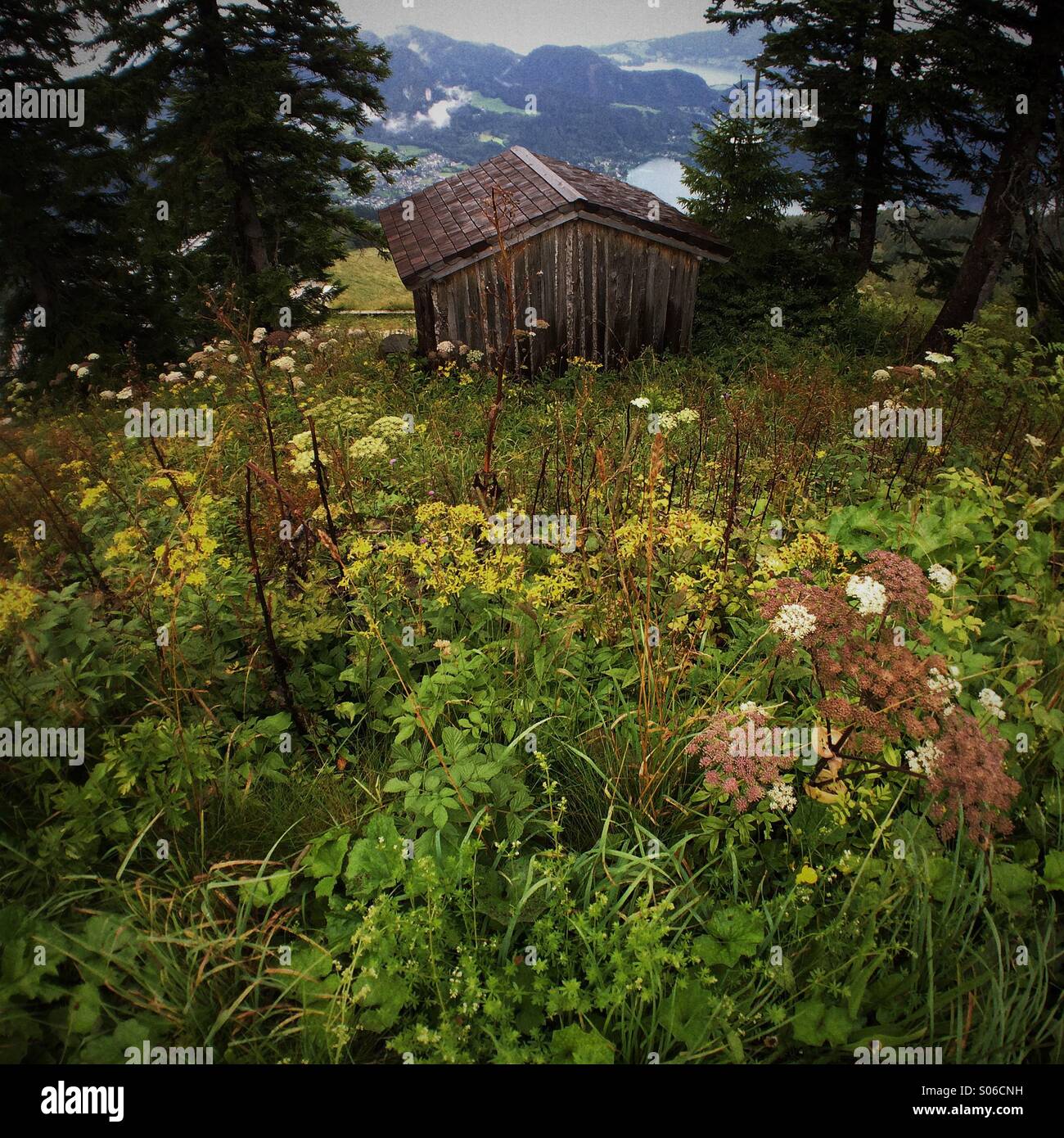 Austrian alps lakes hi-res stock photography and images - Alamy