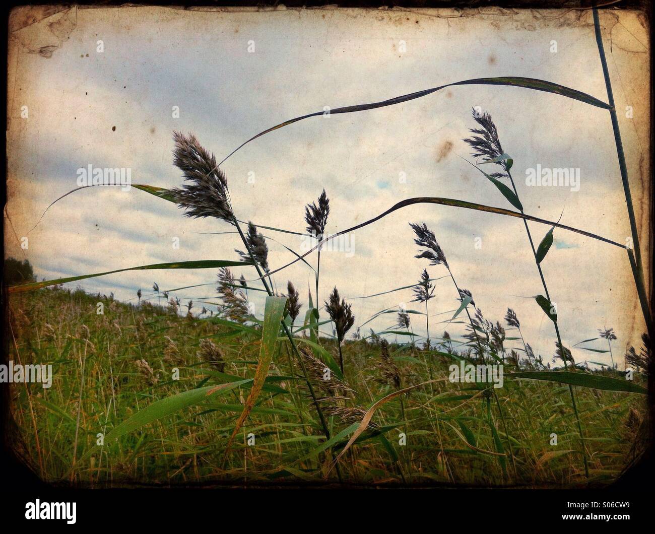 Windy day what to do on a windy day hi-res stock photography and images ...