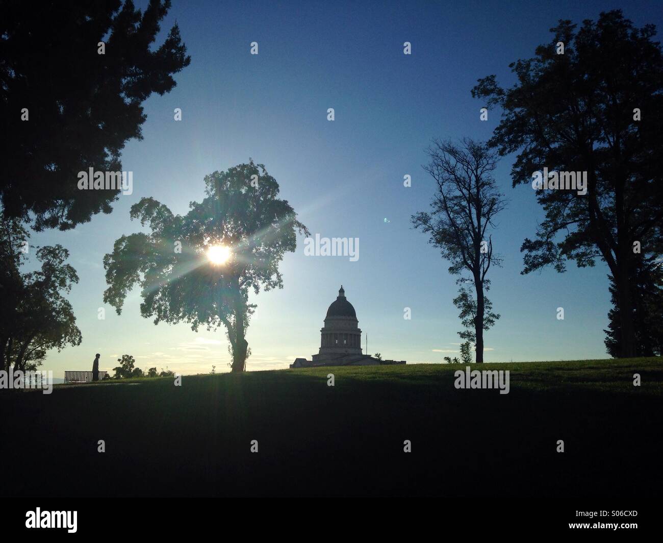 Sun filtered through trees hi-res stock photography and images - Alamy