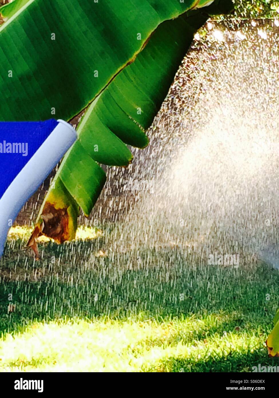 Sprinklers hi-res stock photography and images - Alamy