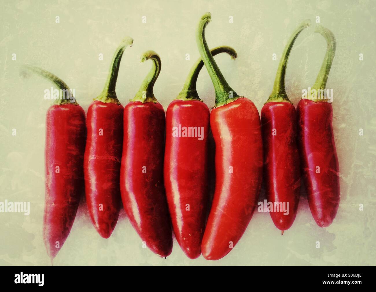 Serrano Chile Peppers Stock Photo - Alamy