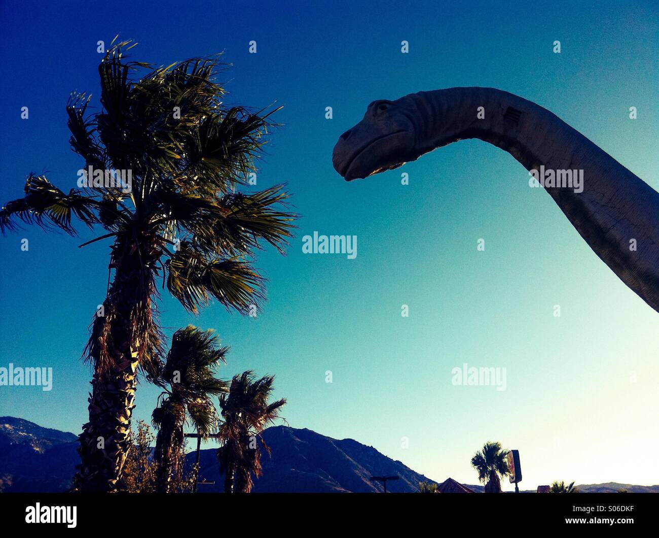 Long neck dinosaur hi-res stock photography and images - Alamy