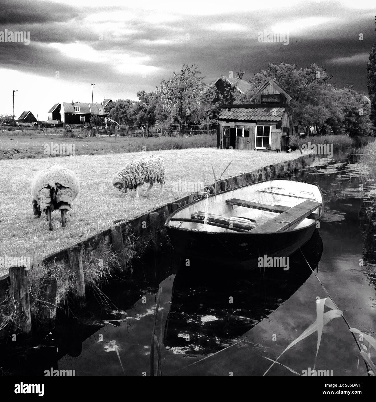 Sheep boat hi-res stock photography and images - Alamy