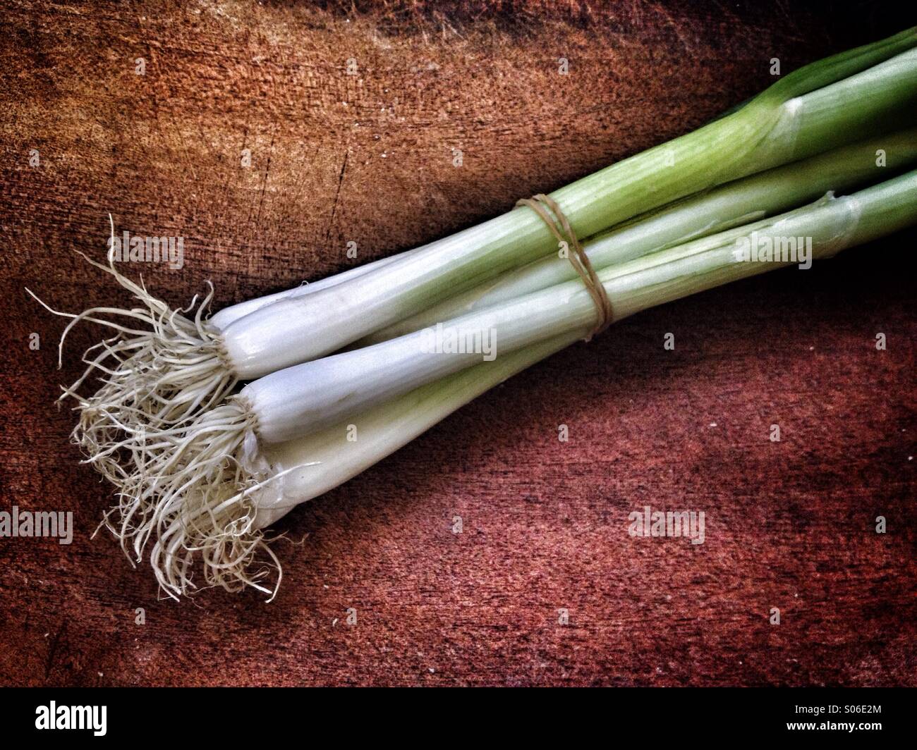 A bunch of spring onions Stock Photo - Alamy