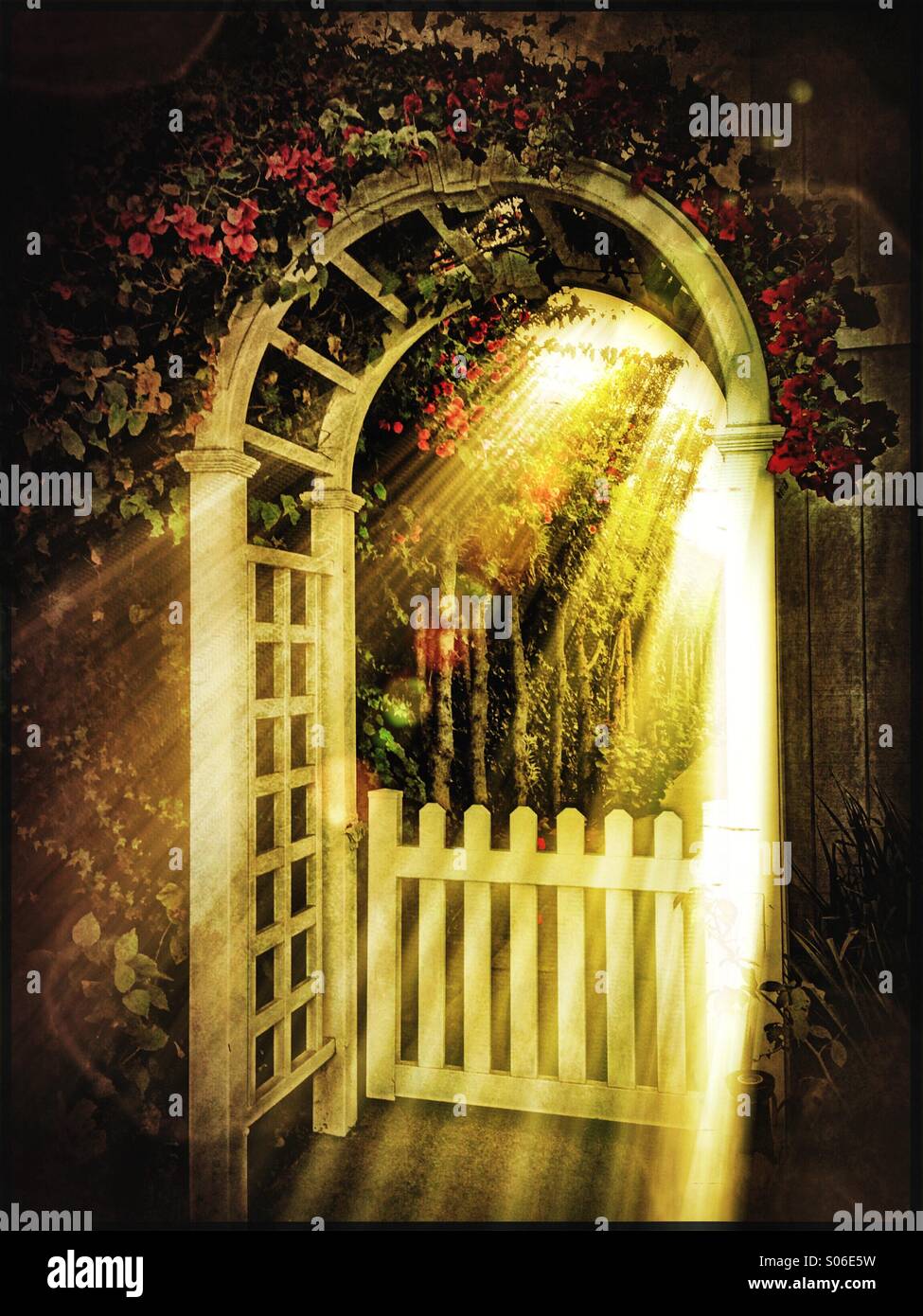 Gate and trellis hi-res stock photography and images - Alamy