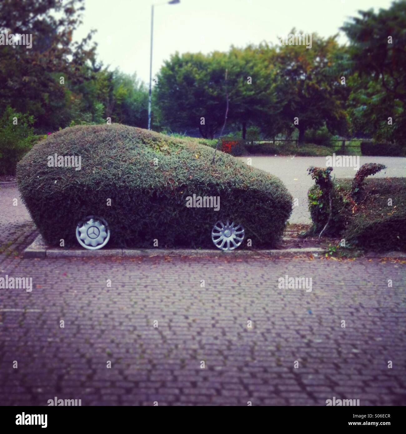Car park art/topiary in Harrow-a hedge is styled to look like a car ...