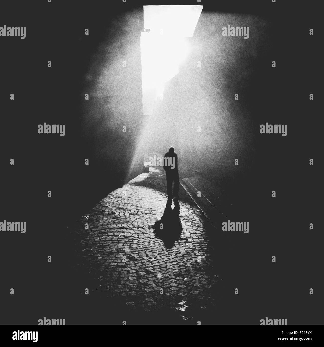 Shalow hi-res stock photography and images - Alamy