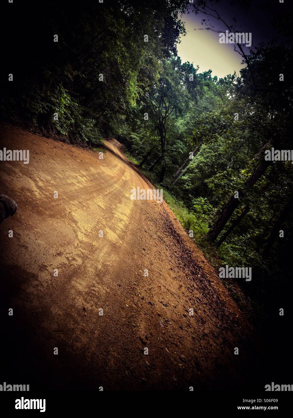 Old dirt road Stock Photo - Alamy