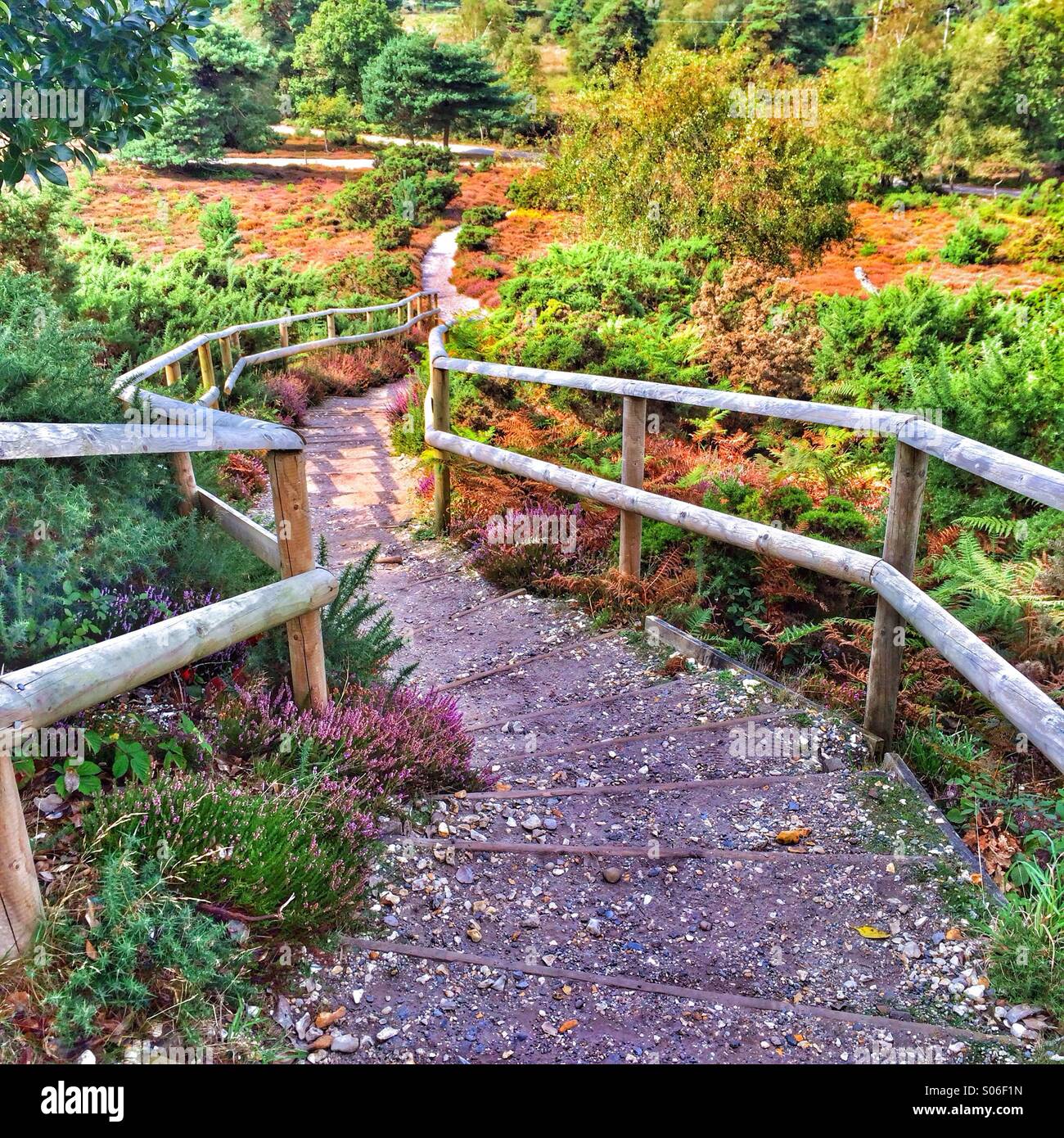 Steps pathway hi-res stock photography and images - Alamy