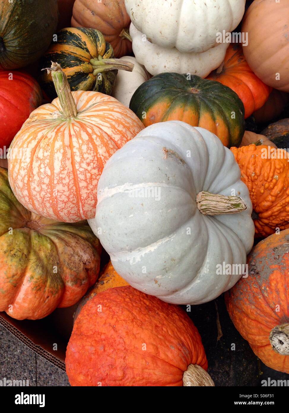 Fall harvest hi-res stock photography and images - Alamy