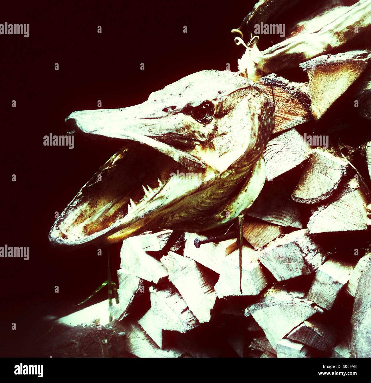 Head dry hi-res stock photography and images - Alamy