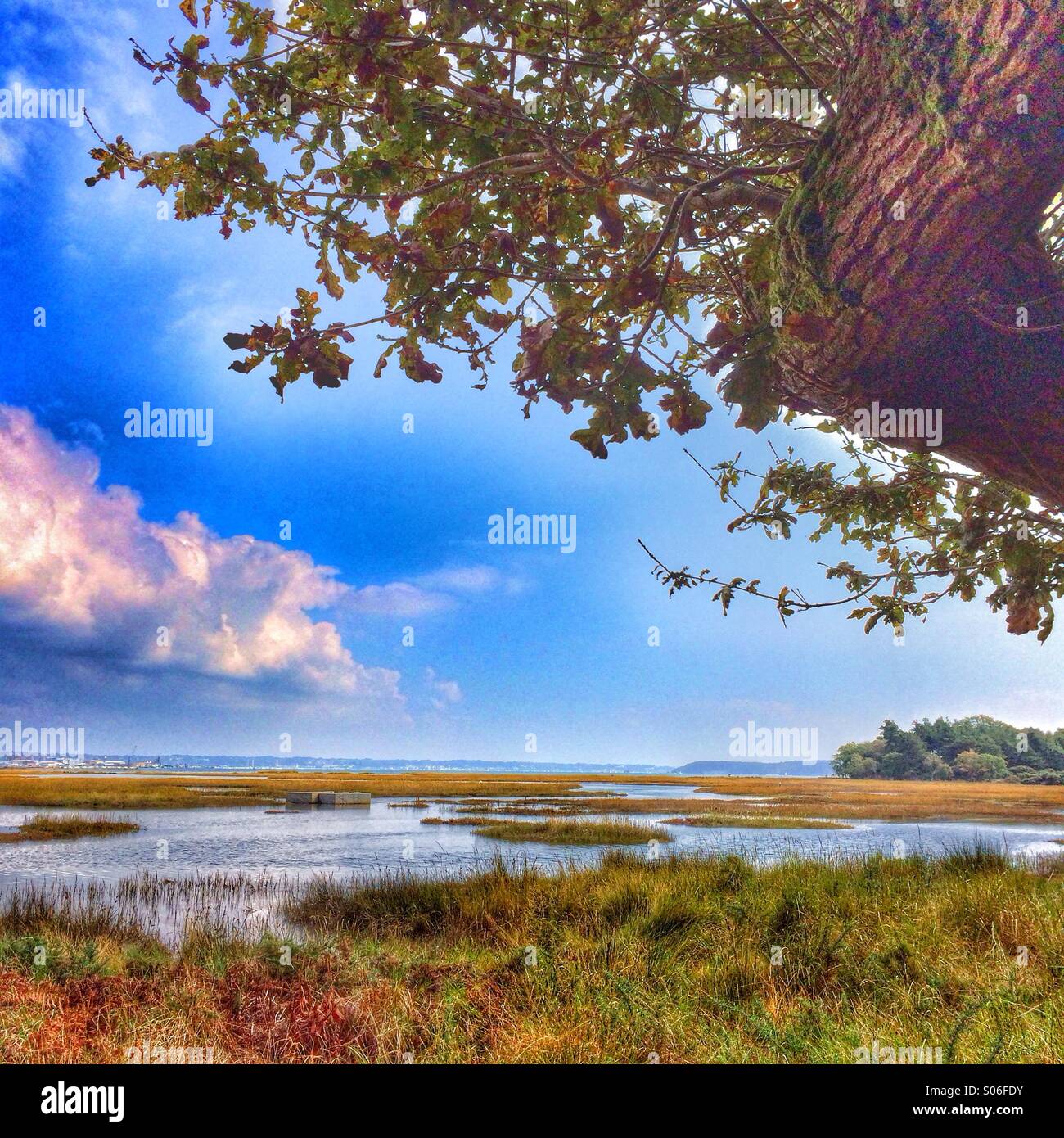 Poole harbour nature reserve hi-res stock photography and images - Alamy