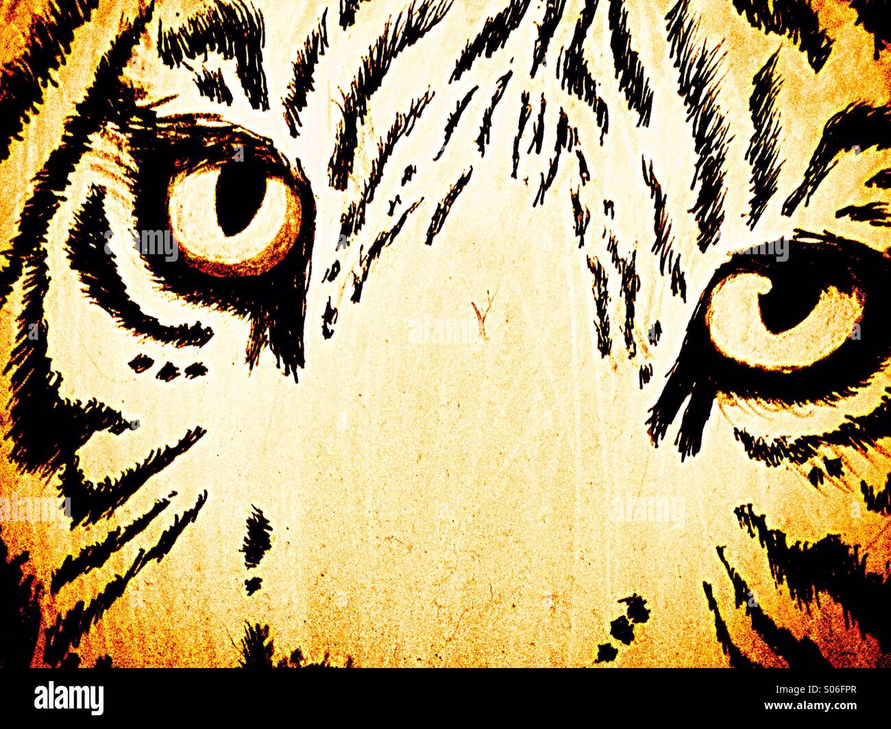 Beautiful beast hi-res stock photography and images - Alamy