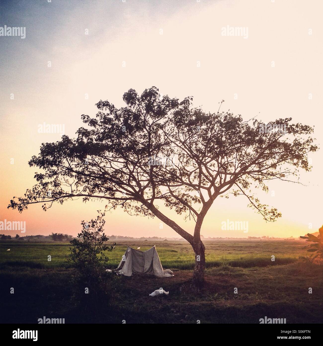 Irrawaddy delta hi-res stock photography and images - Alamy