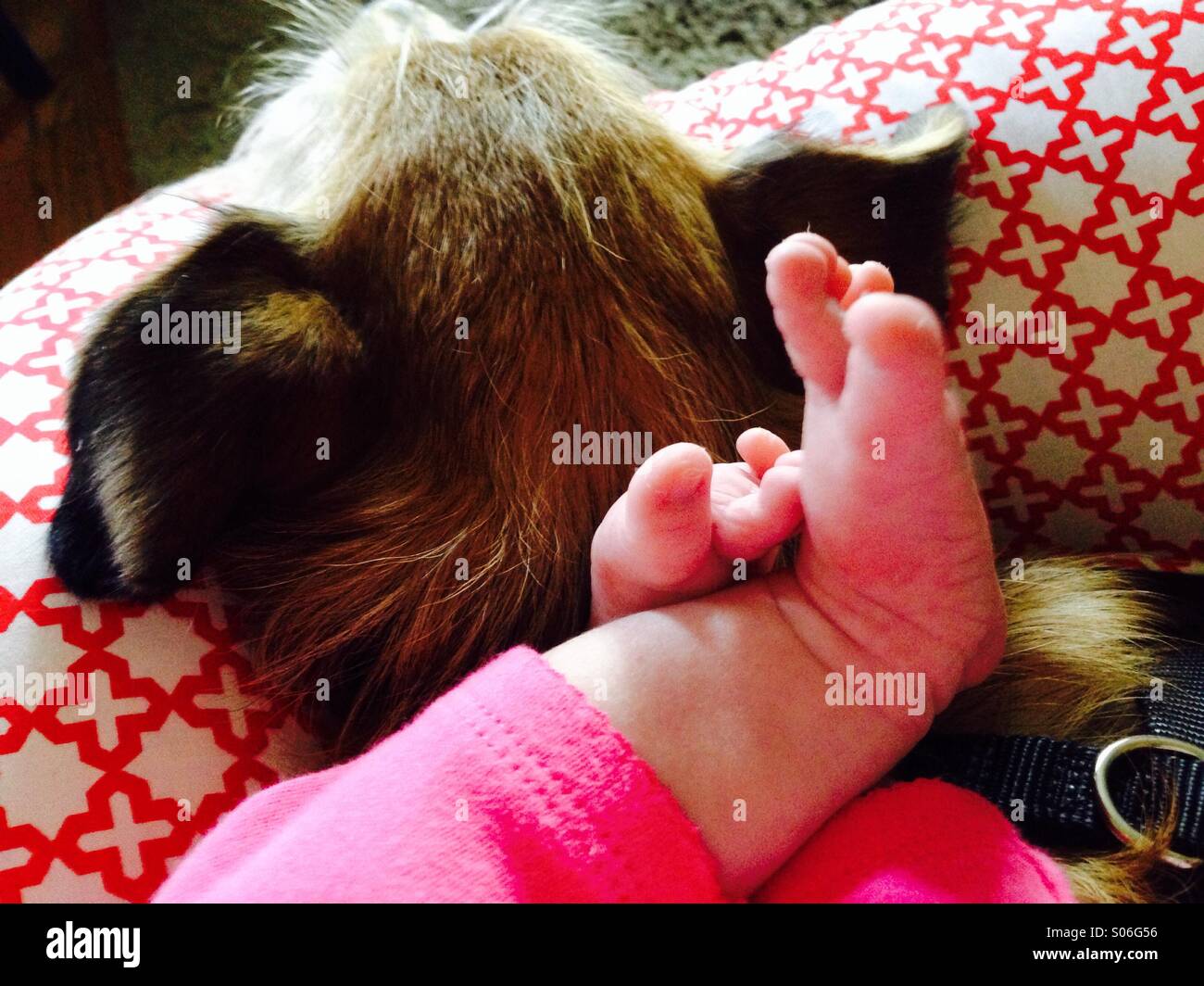 A comfortable "foot rest Stock Photo - Alamy