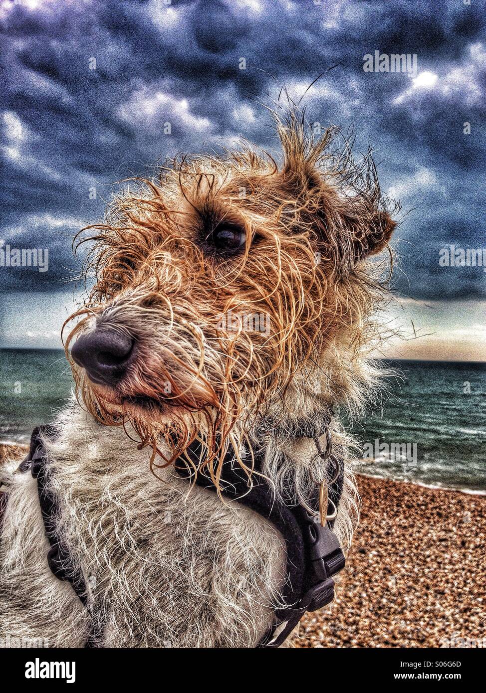 Parsons beach hi-res stock photography and images - Alamy