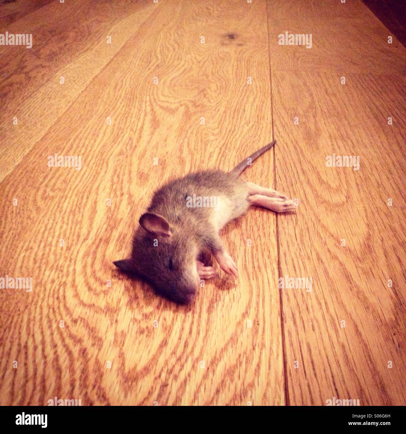 Dead end amsterdam hi-res stock photography and images - Alamy