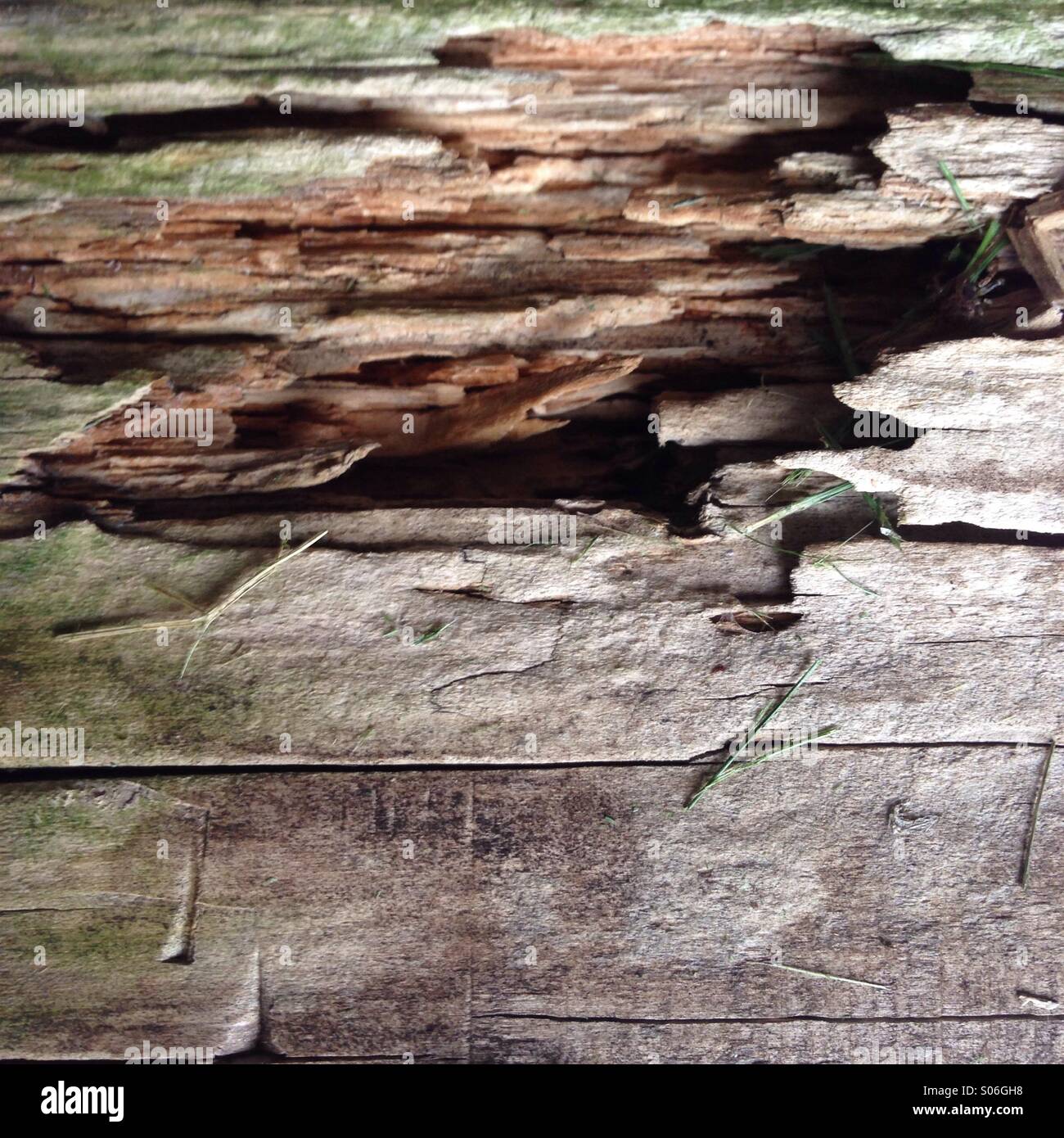 Rotting fence post Stock Photo - Alamy