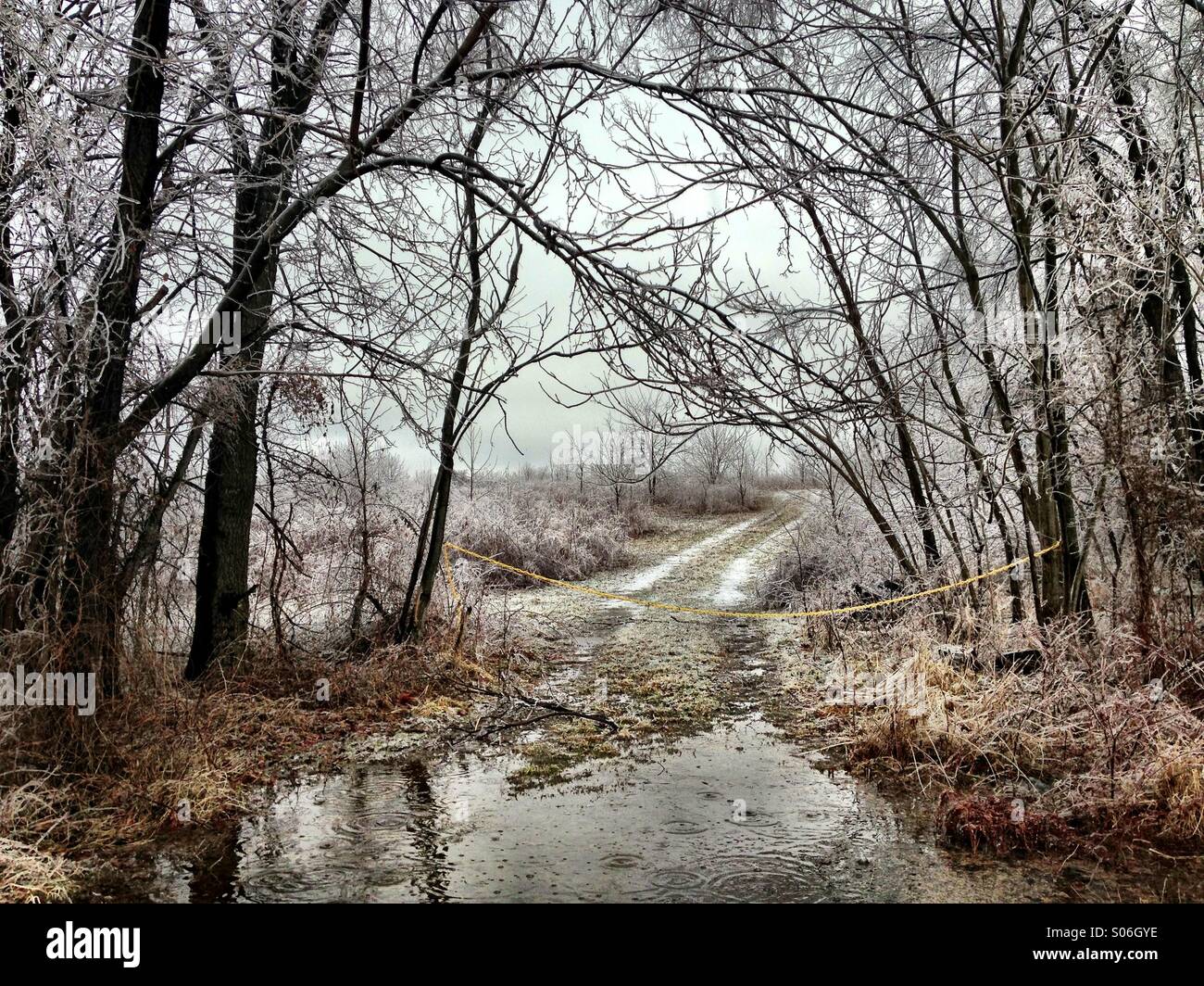 Ice storm hi-res stock photography and images - Alamy