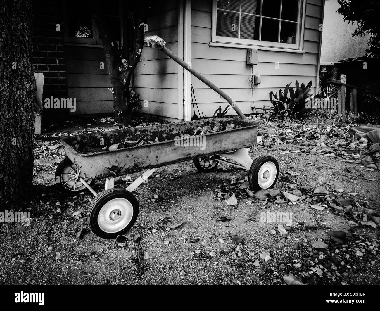 Wagon wheel by a tree hi-res stock photography and images - Alamy