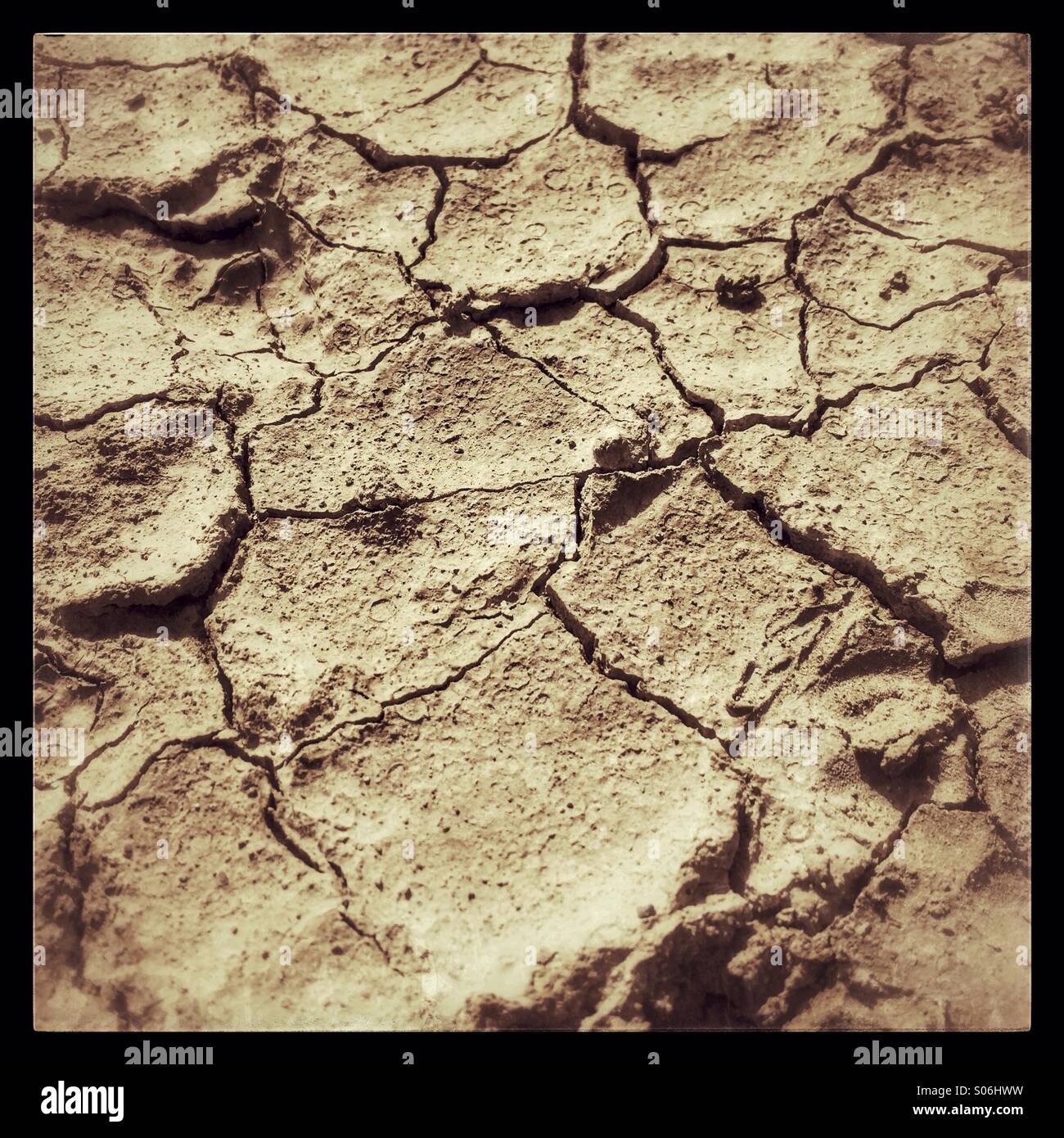 Summer Ground High Resolution Stock Photography and Images - Alamy