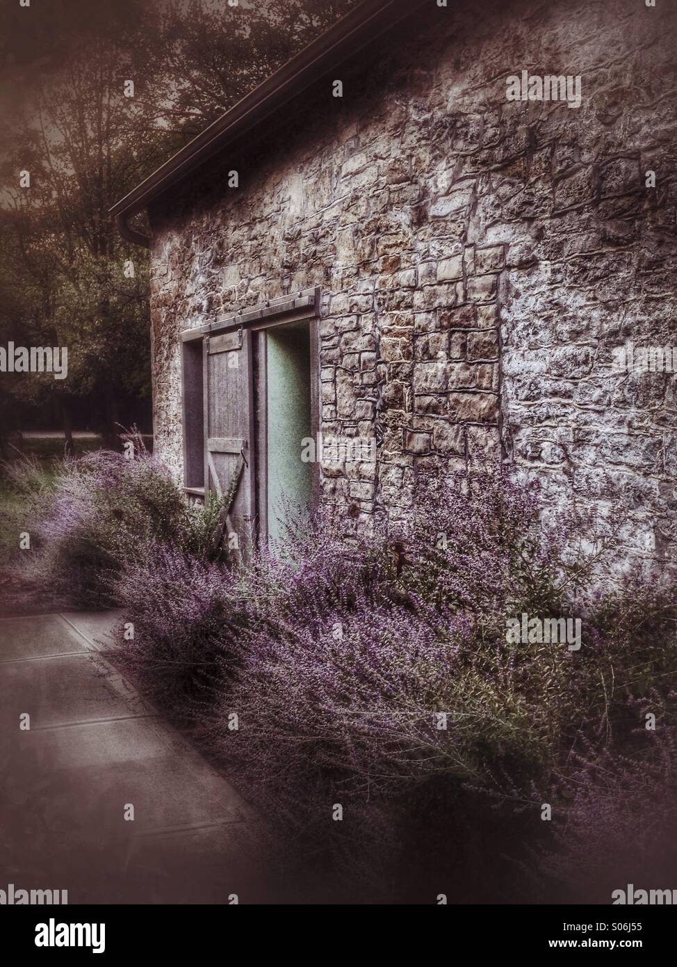 A cottage with purple flowers Stock Photo - Alamy