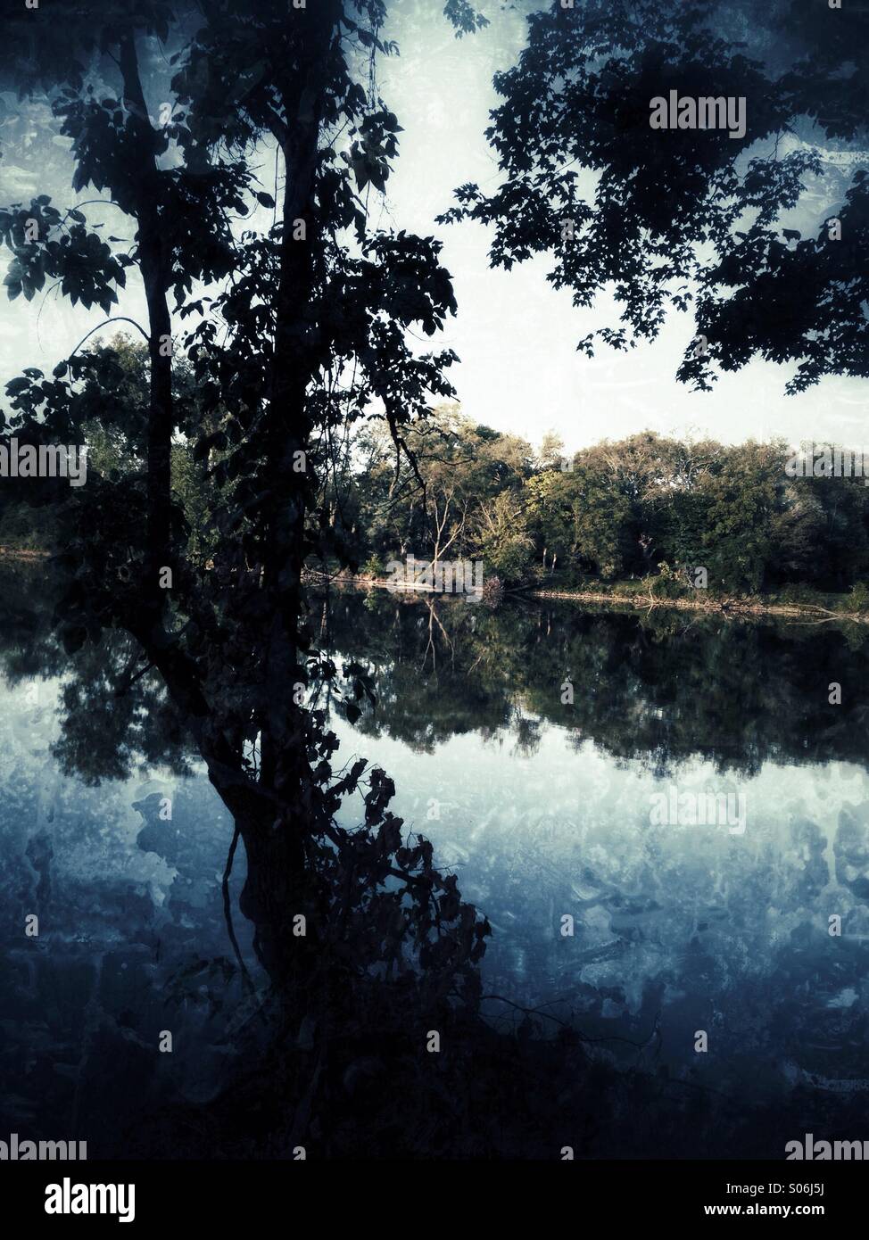 A tree overlooking the river Stock Photo - Alamy