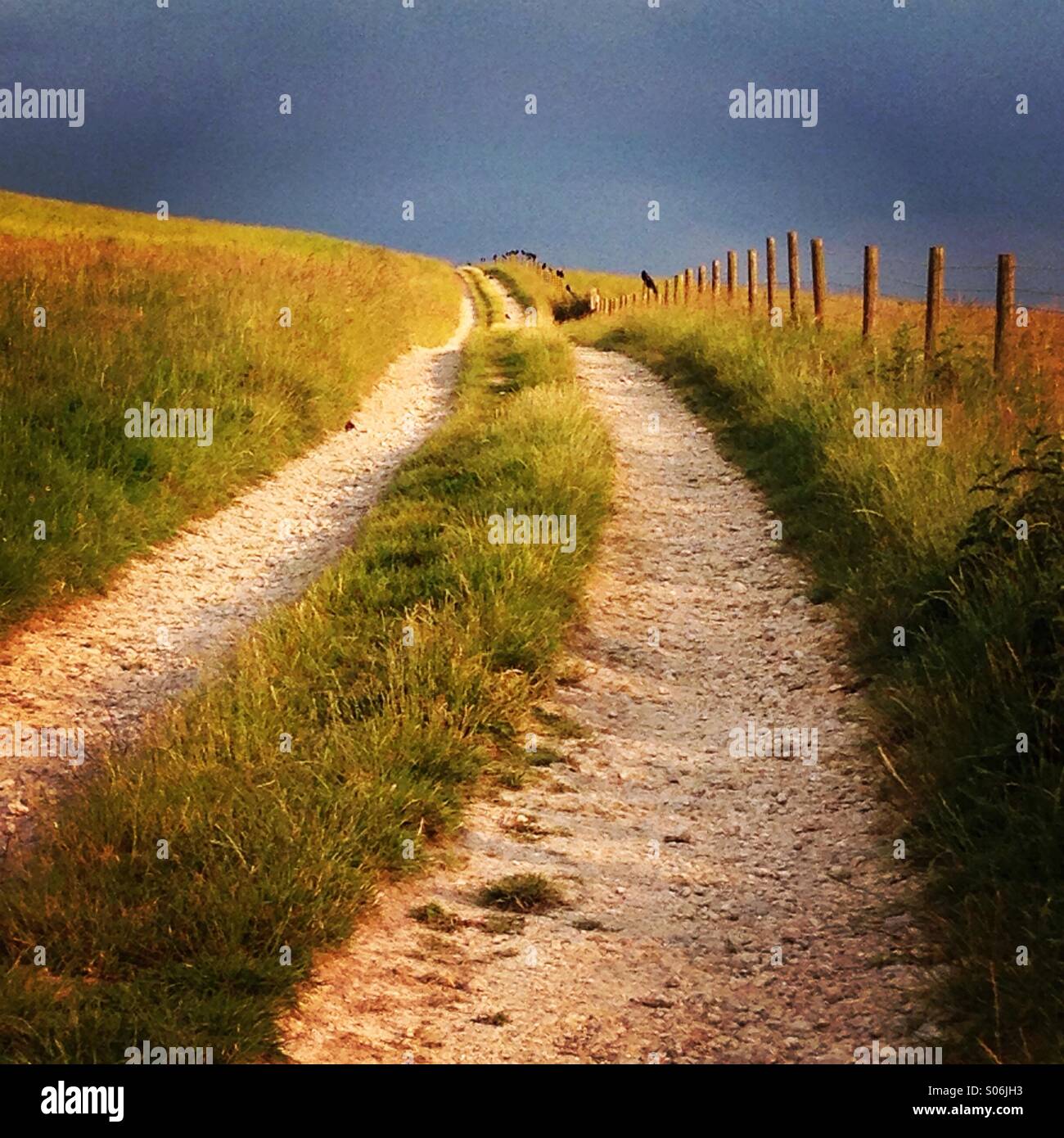 Dusty track and stormy sky Stock Photo - Alamy