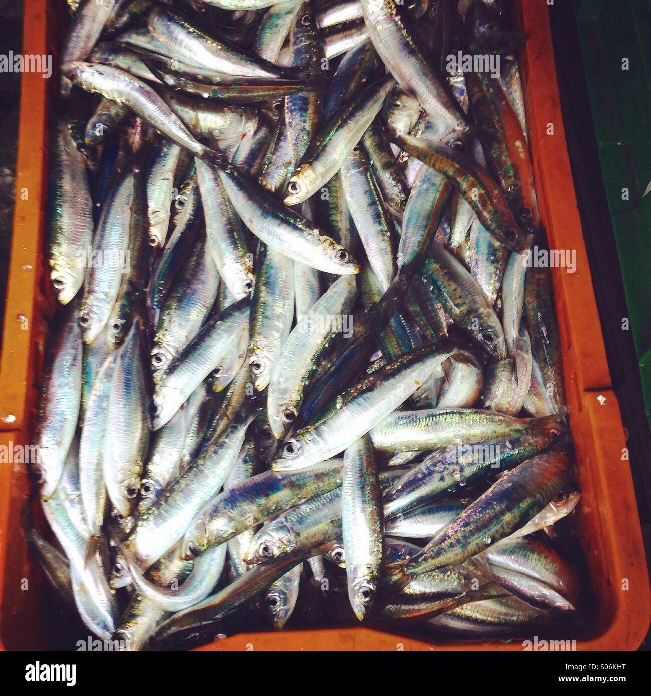 Container of fish hi-res stock photography and images - Alamy