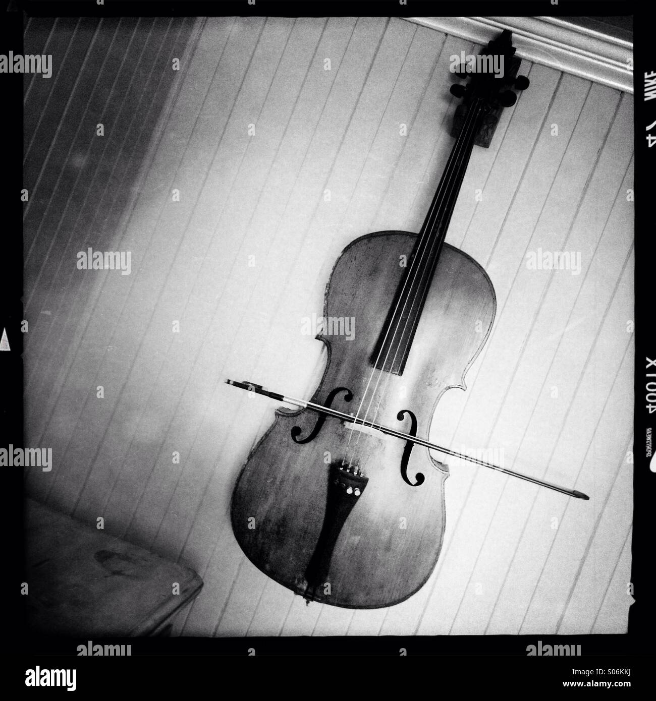 Stringed instrument bow bowed hi-res stock photography and images - Alamy