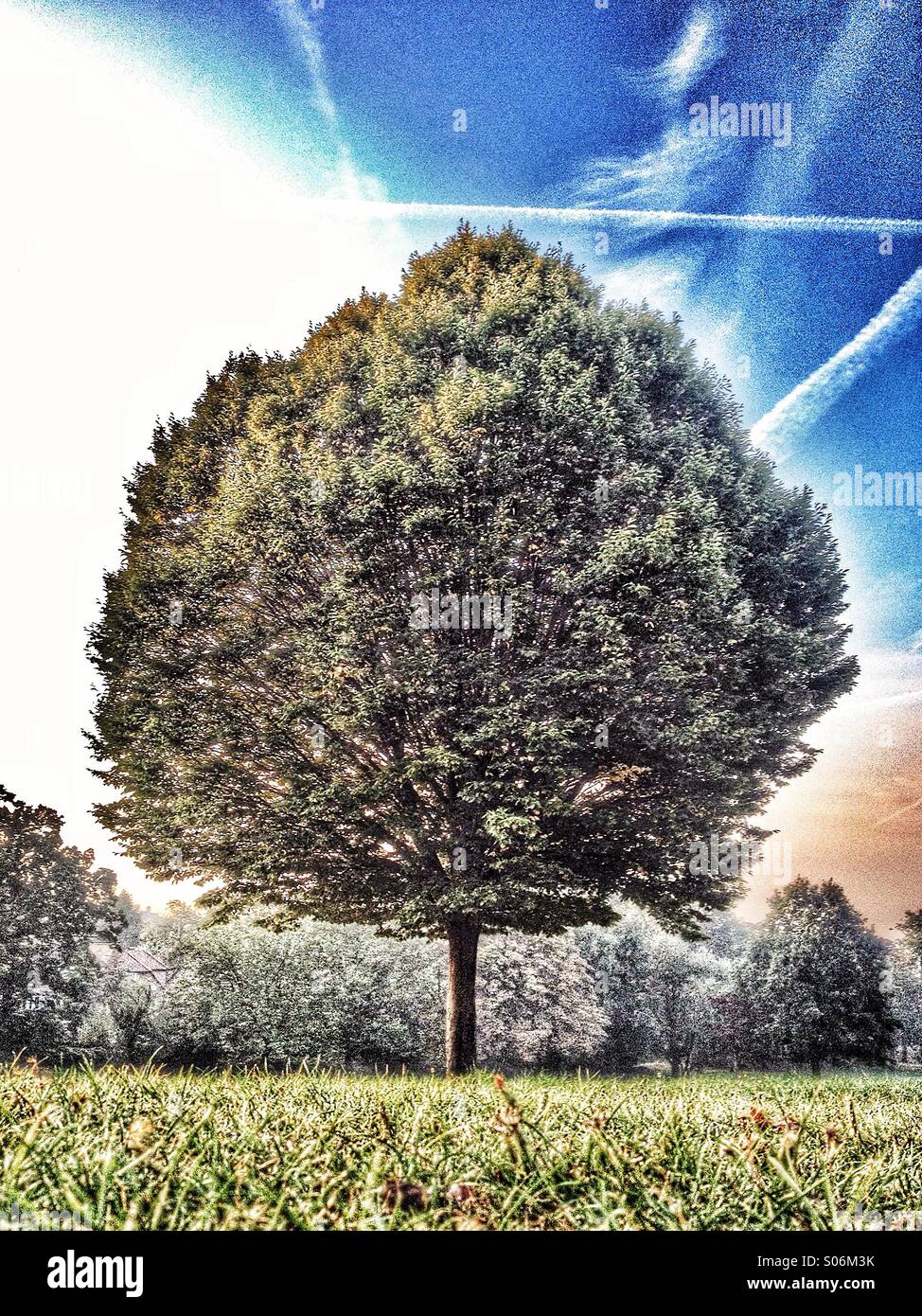 Park shot hi-res stock photography and images - Alamy