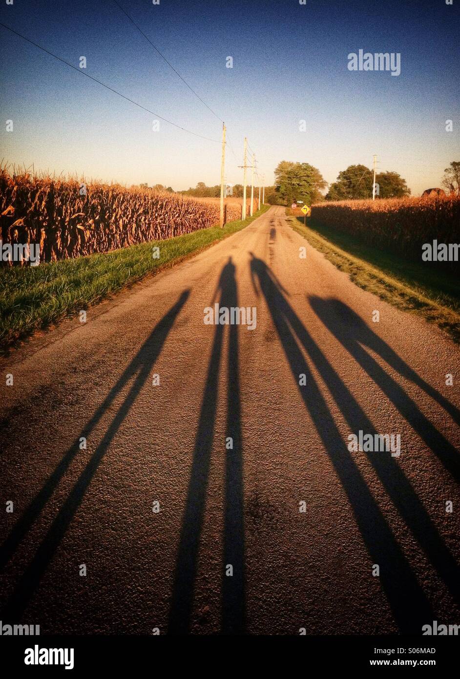 Shadow People and Their Dogs Stock Photo - Alamy