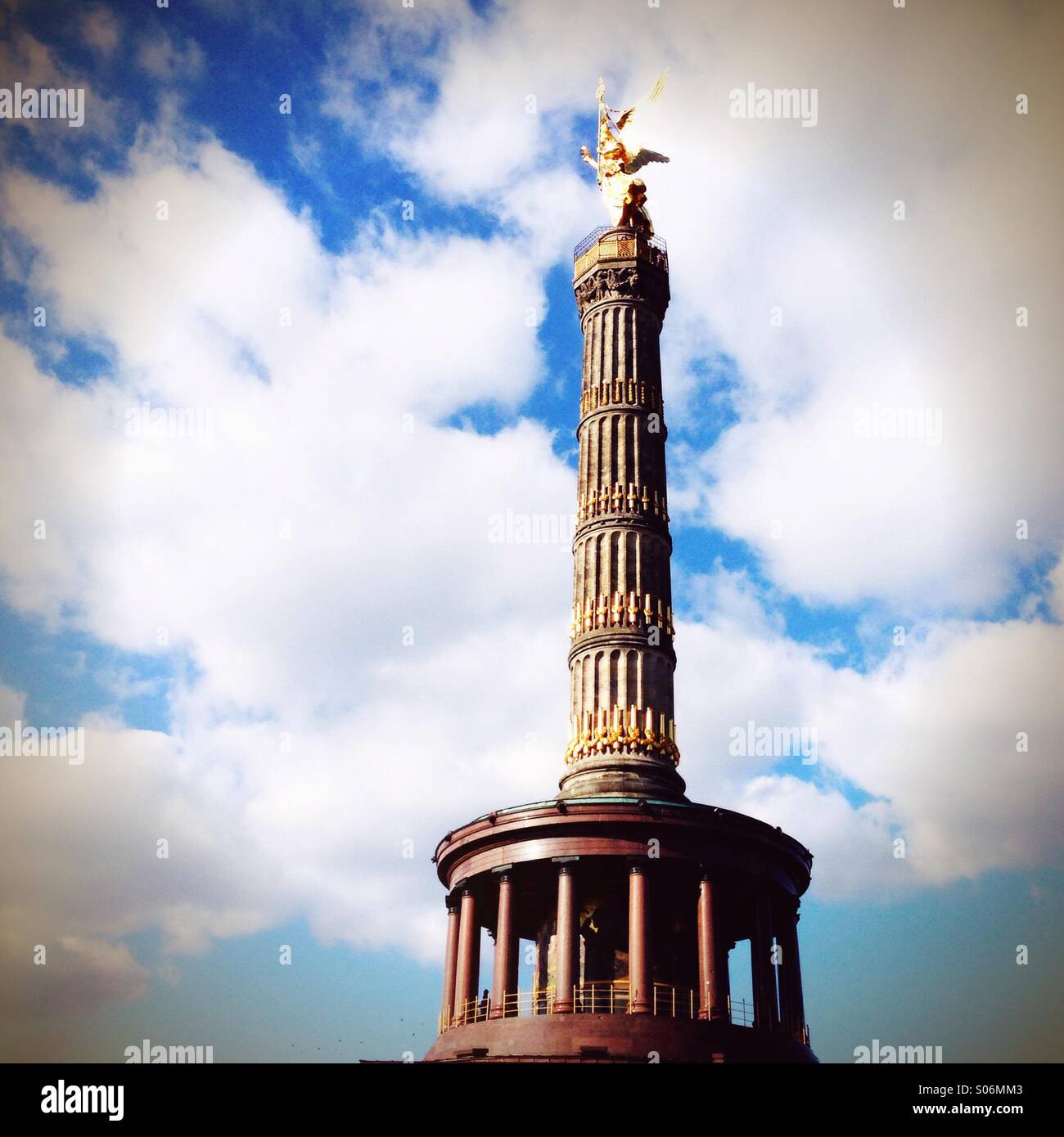 Goldelse hi-res stock photography and images - Alamy