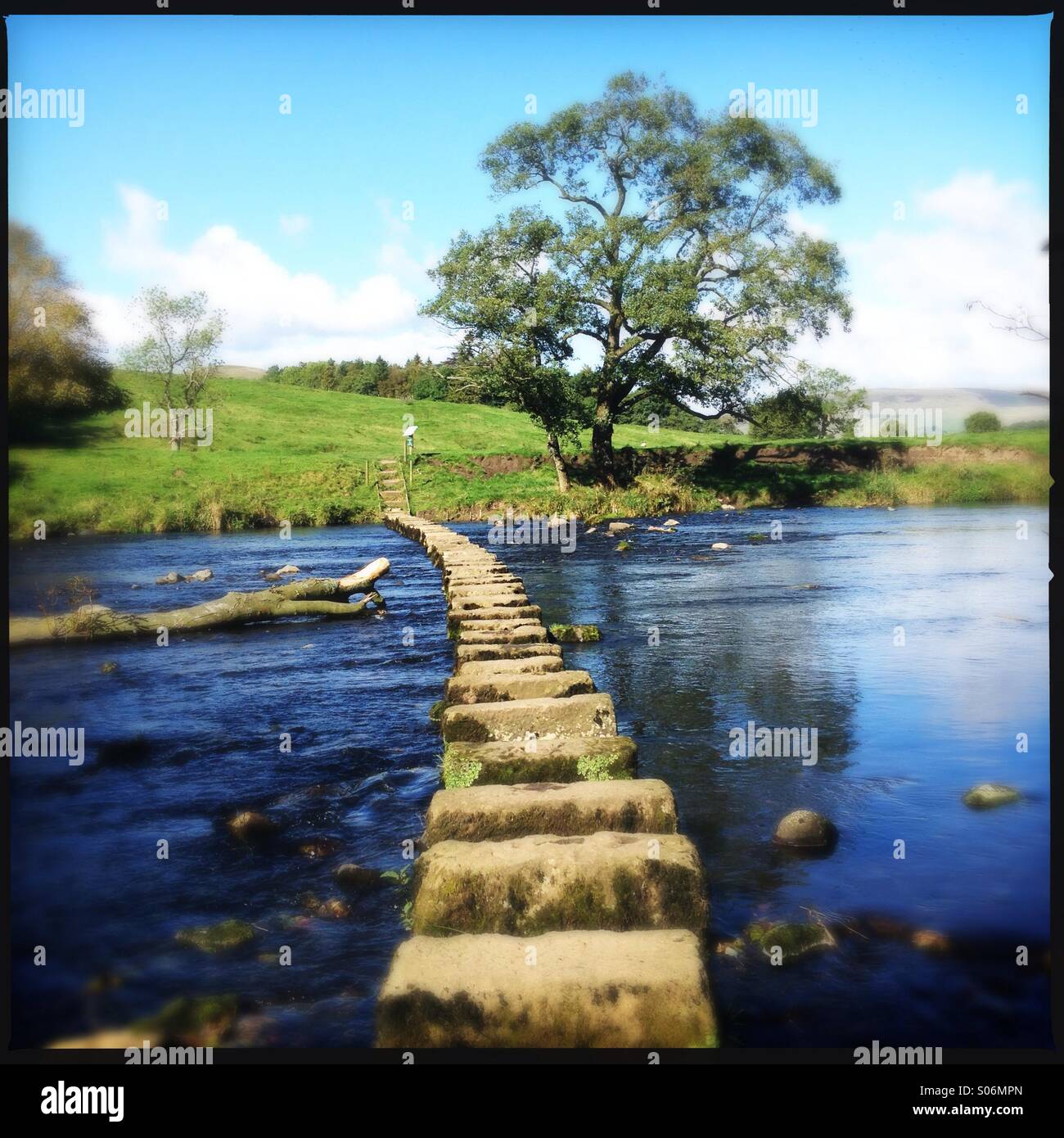 Stepping fields hi-res stock photography and images - Alamy