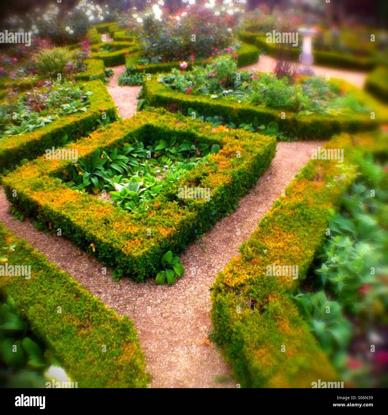 Box Hedges High Resolution Stock Photography and Images - Alamy