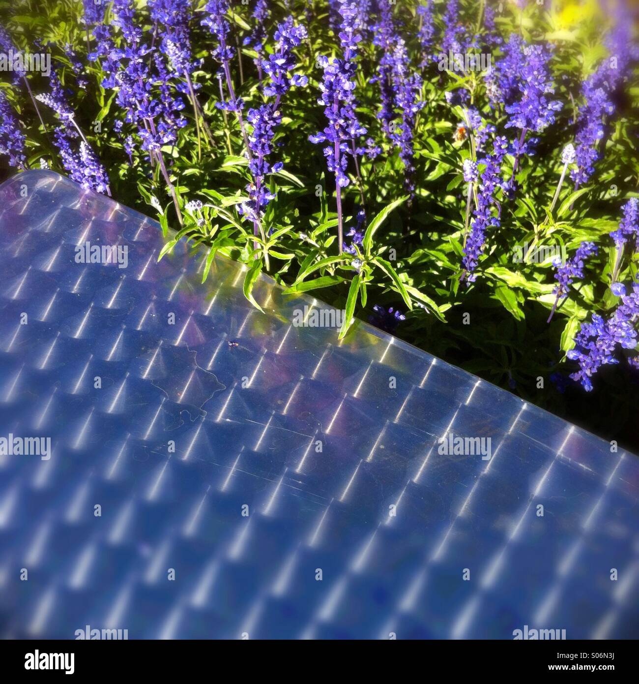 Flower panel hi-res stock photography and images - Alamy