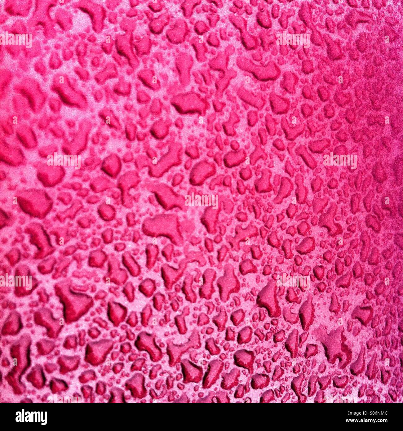 Close-up view of water droplets on a vibrant pink surface highlighting ...