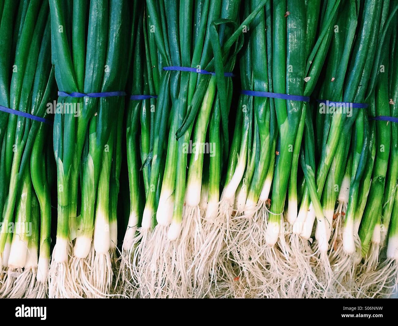 Bunch of scallions hi-res stock photography and images - Alamy