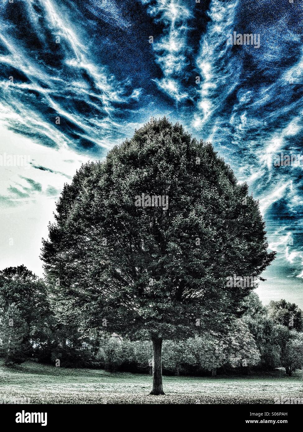 Drama dramatic hi-res stock photography and images - Alamy