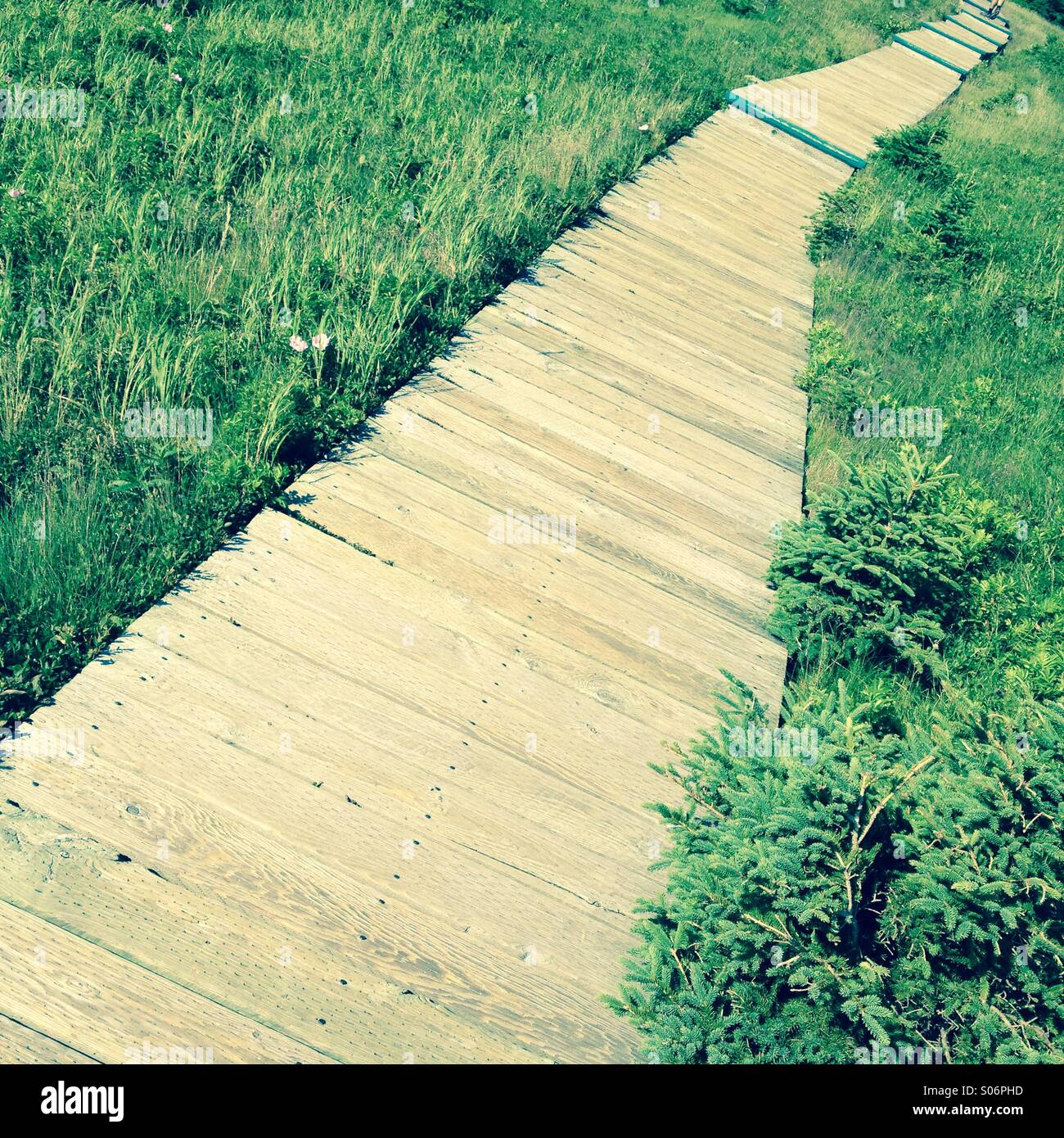 Climate conscious branding hi-res stock photography and images - Alamy