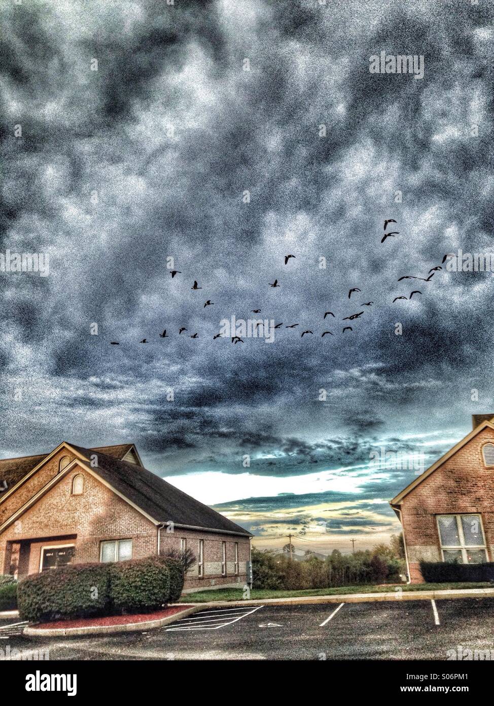 Birds flying south Stock Photo - Alamy