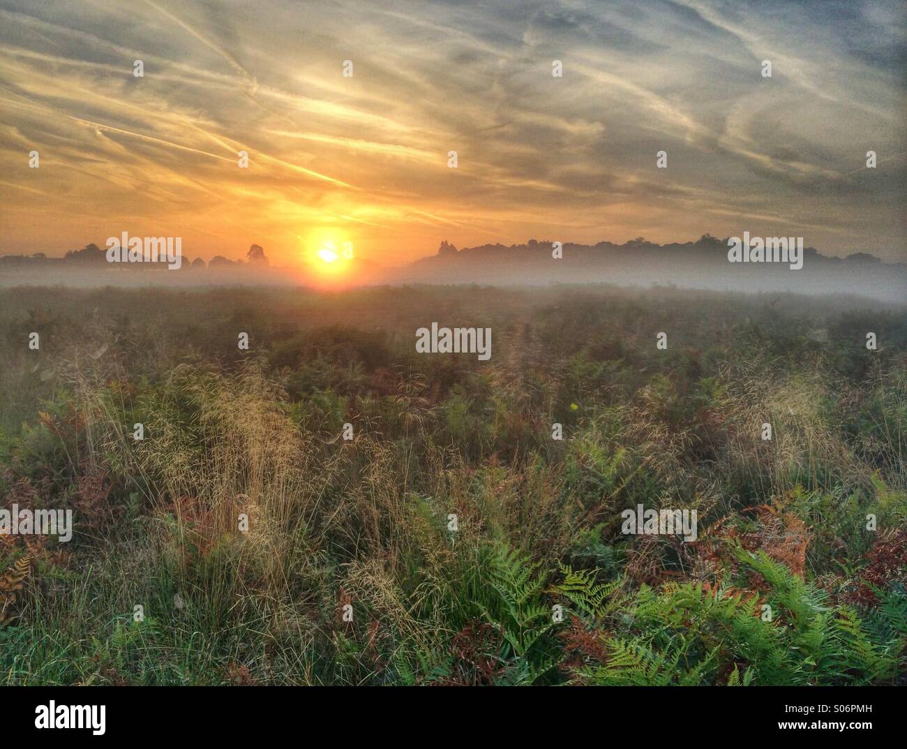 Early autumnal morning with glorious sun rise over misty grassland ...